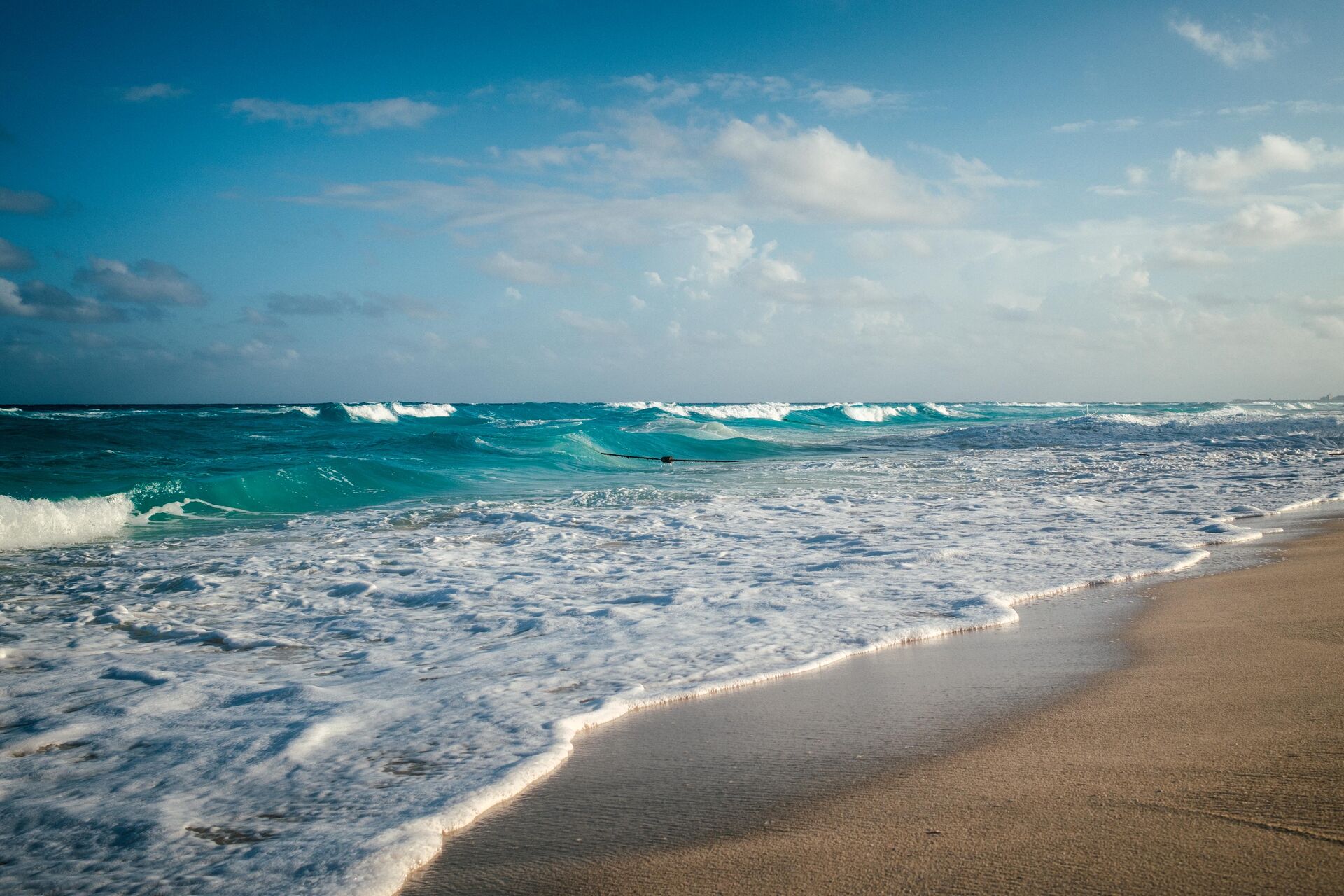 Wildlife, Waves, and Nightlife: Quintana Roo’s Sandos Resorts ...